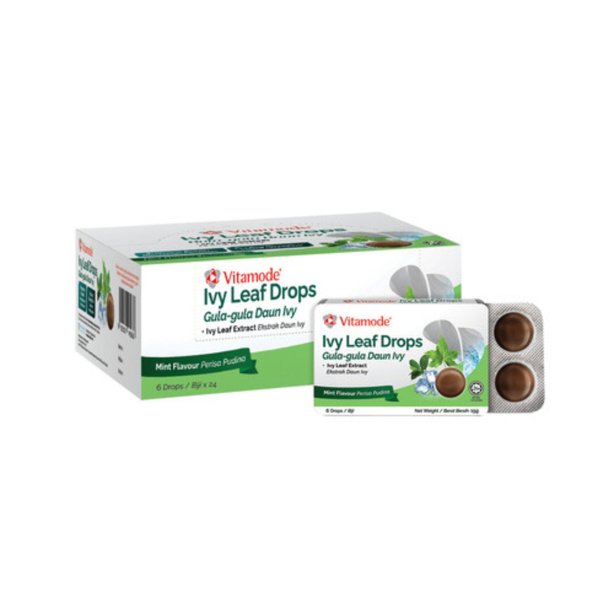 VITAMODE IVY LEAF DROP 6SX24 | BIG Pharmacy Malaysia Official eStore